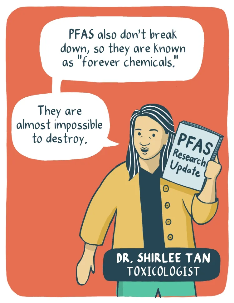 What are PFAS and why are they harmful? A comic strip explains. – Best ...