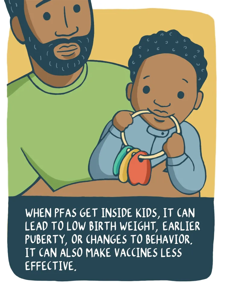 What are PFAS and why are they harmful? A comic strip explains. – Best ...
