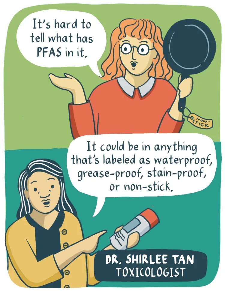 How can we reduce exposure to PFAS? A comic strip explains (part 2 ...